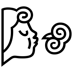 🌬️ Wind Face Emoji