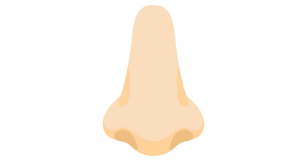 👃🏻 Nose: Light Skin Tone Emoji