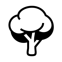 🌳 Deciduous Tree Emoji