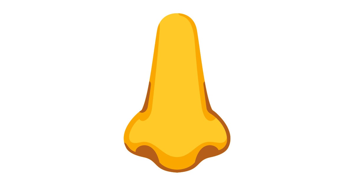 👃 Nose Emoji: Meaning & Usage
