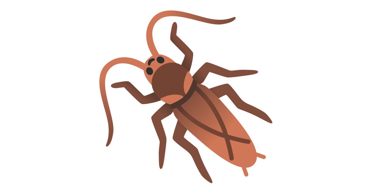 🪳 Cockroach Emoji: Meaning & Usage