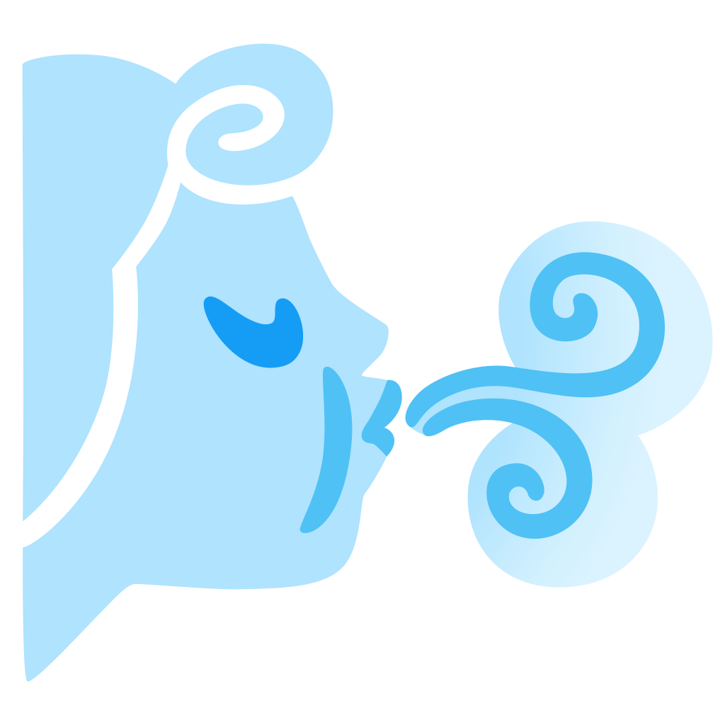 🌬️ Wind Face Emoji: Meaning & Usage