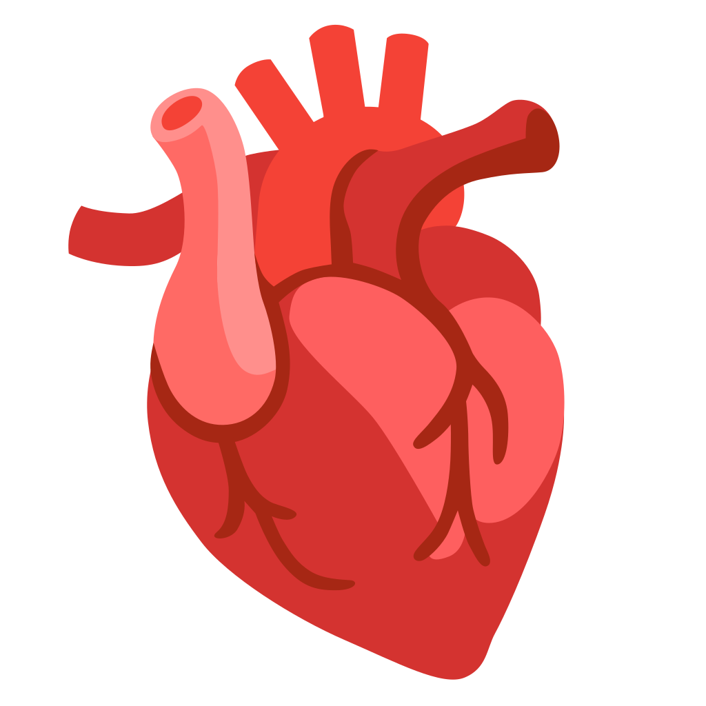 🫀 Corazón Humano Emoji: Significado y Uso