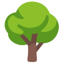 🌳 Laubbaum Emoji: Bedeutung & Verwendung