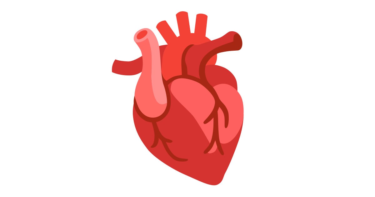 🫀 Corazón Humano Emoji: Significado y Uso