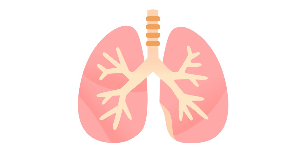 🫁 Lungs Emoji