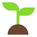 🌱 Jeune Pousse Emoji: Signification & Utilisation