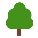 🌳 Deciduous Tree Emoji: Meaning & Usage