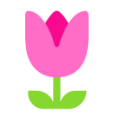 🌷 Tulip Emoji: Meaning & Usage