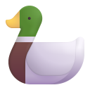 🦆 Duck Emoji: Meaning & Usage