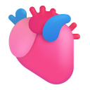 🫀 Coração Humano Emoji: Significado e Uso