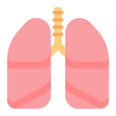 🫁 Lungs Emoji: Meaning & Usage