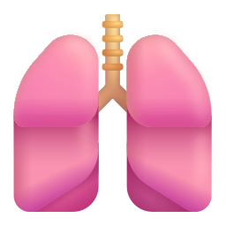 🫁 Lungs Emoji