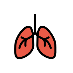🫁 Lungs Emoji: Meaning & Usage