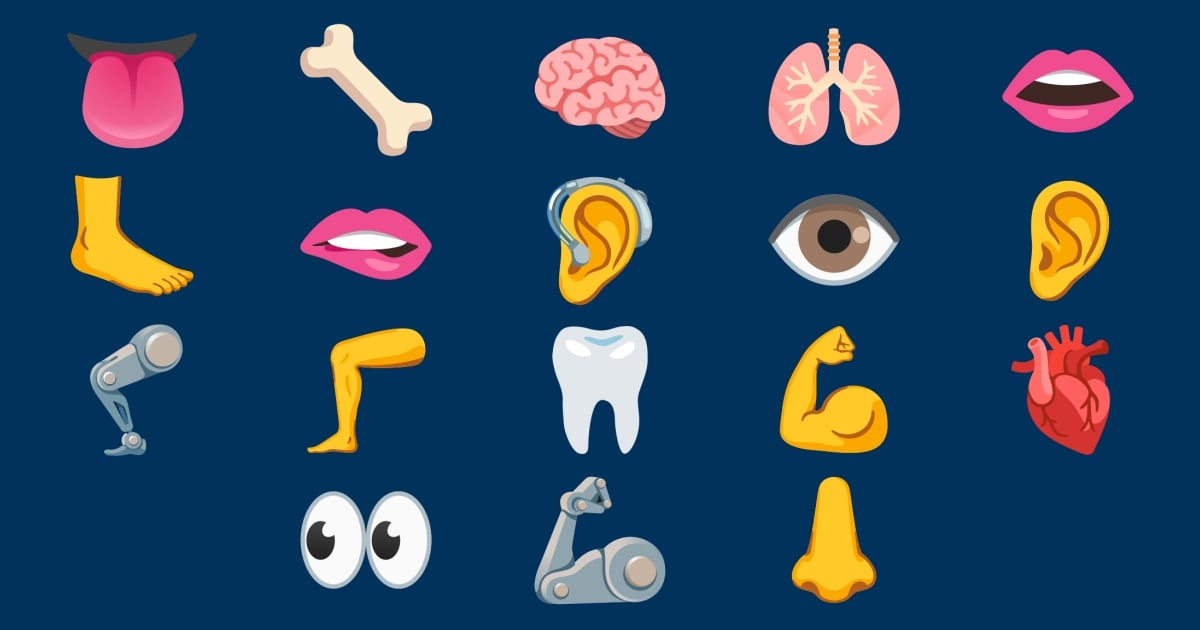 💪 Body Parts Emojis 👄 🫦 🦴 🫀 🫁 🦵 👀