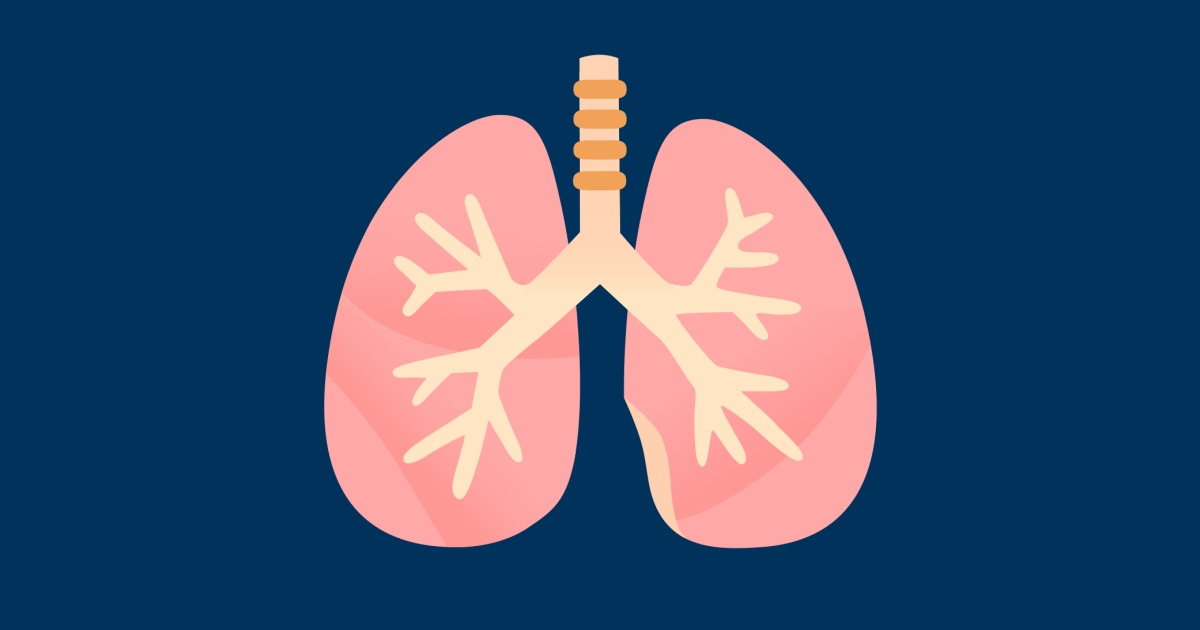 🫁 Lung Emojis