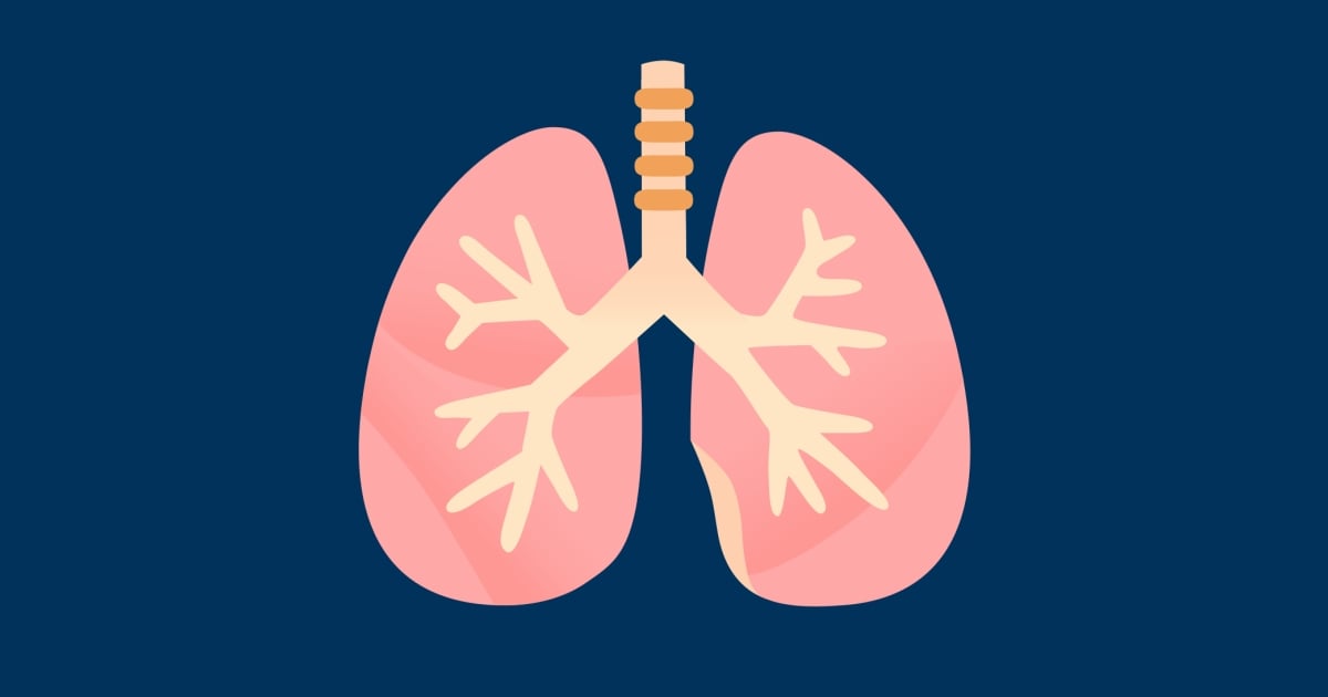 🫁 Respiration Emojis