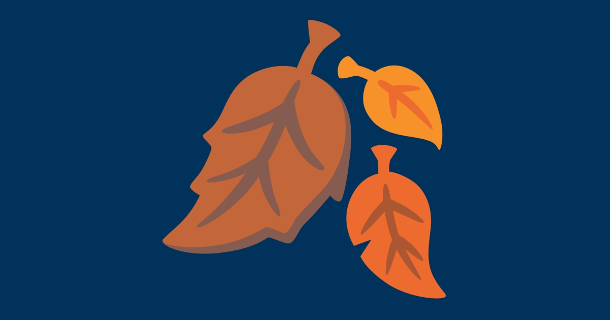 🍂 Fall Emojis