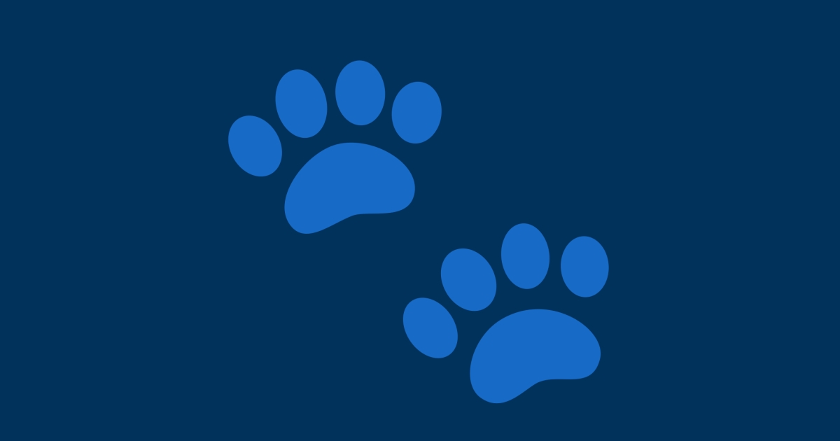 🐾 Paws Emojis