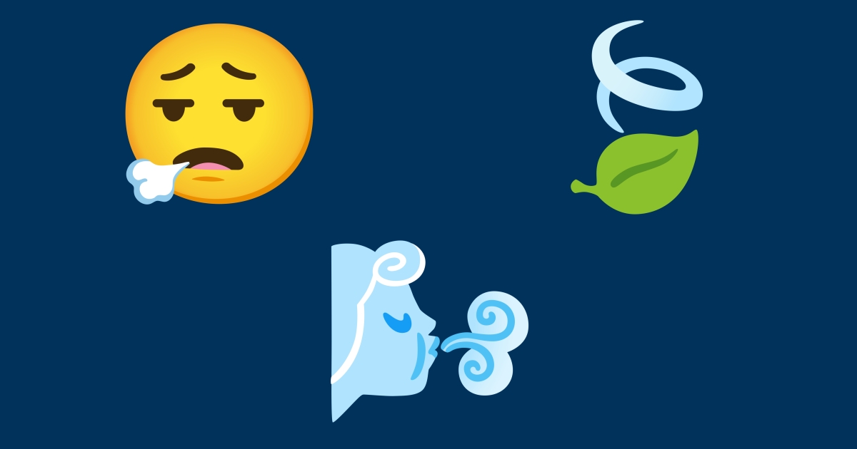 😮‍💨 Blow Emojis 🍃 🌬️