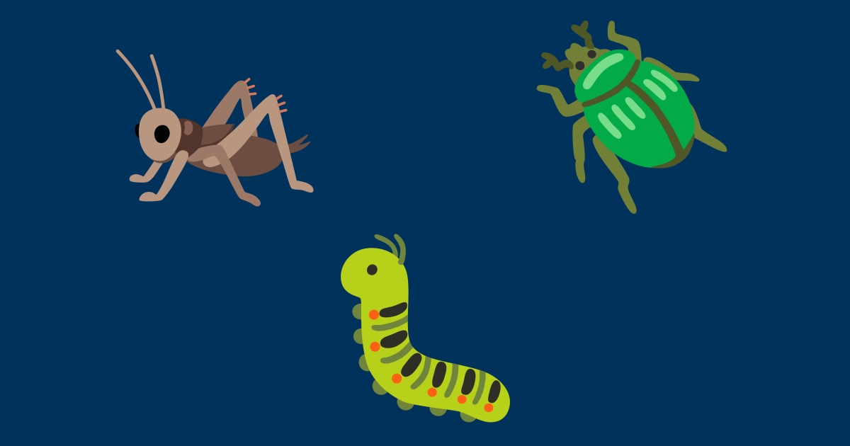 🐛 Bug Emojis 🪲 🦗