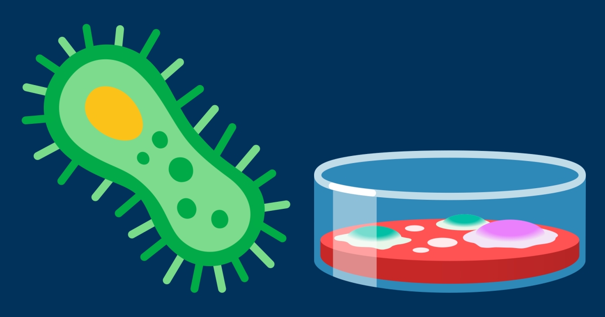 🦠 Batterio Emoji 🧫