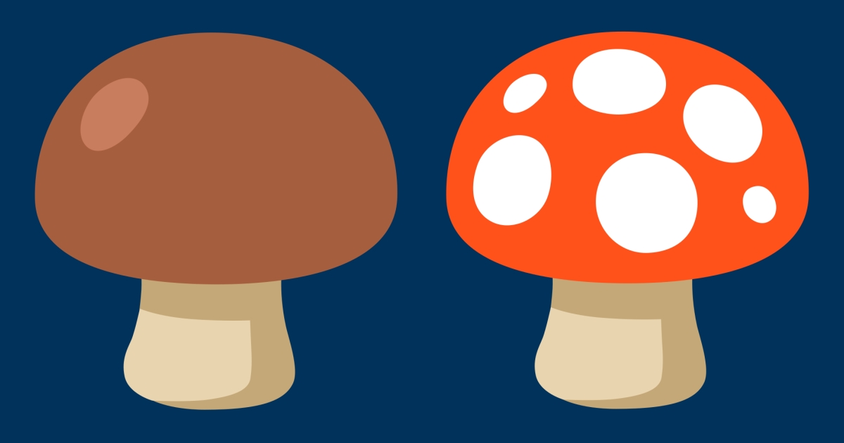 🍄 Champignon Emojis 🍄‍🟫