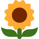 🌻 Sunflower Emoji